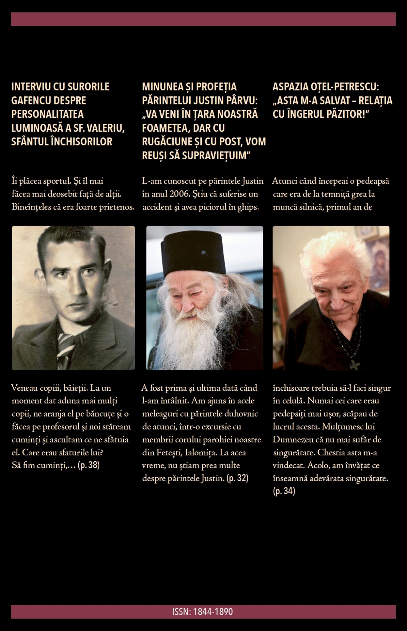 Revista ATITUDINI - Mănăstirea Paltin