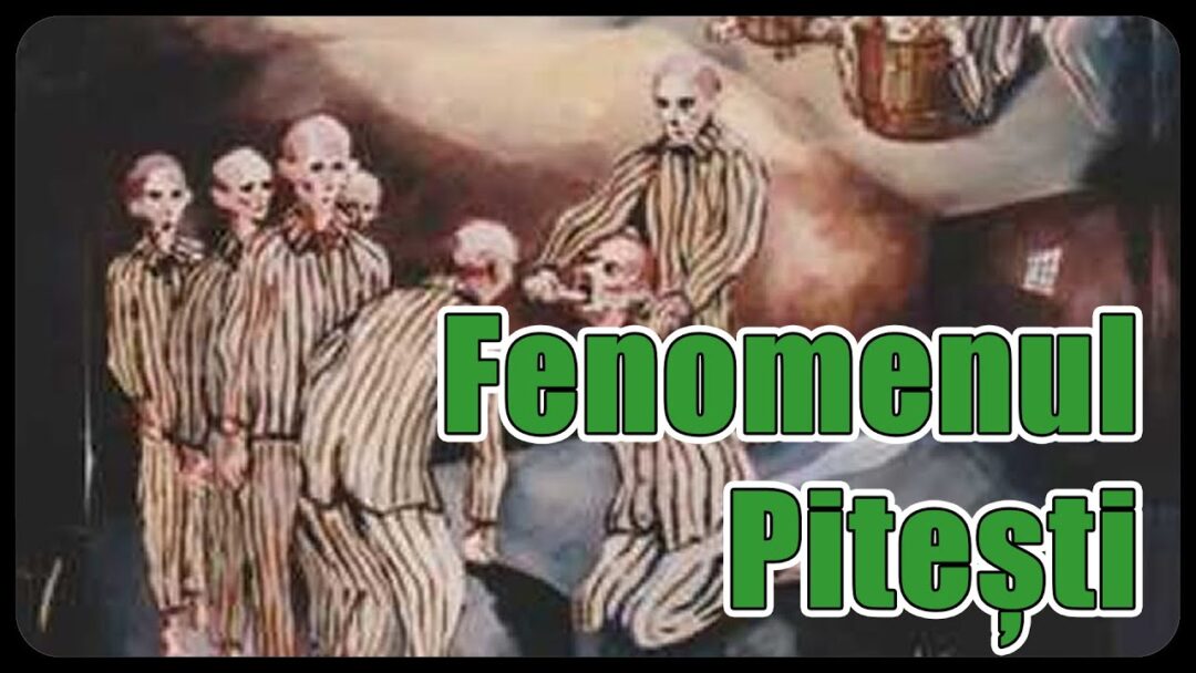 FENOMENUL PITEȘTI | DOCUMENTAR - ATITUDINI - Mănăstirea Paltin